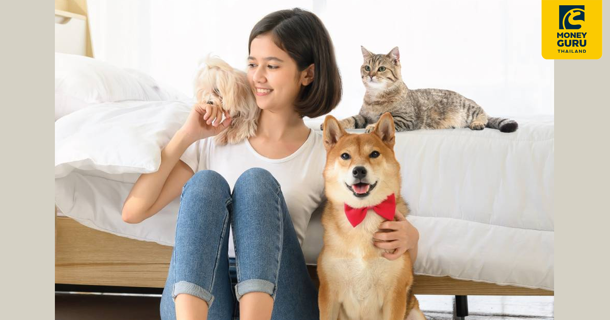 ประกันสัตว์เลี้ยง TIP PET LOVER คุ้มครองจัดเต็มให้กับสัตว์เลี้ยงแสนรัก | เช็คราคา.คอม