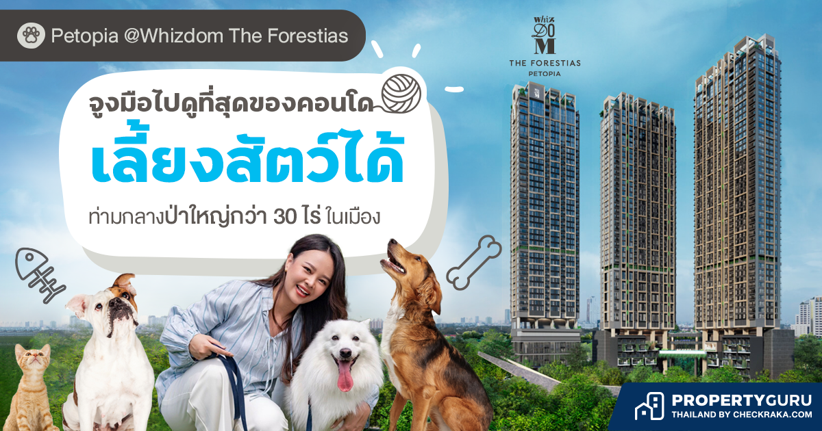 จูงมือไปดู Whizdom The Forestias PETOPIA คอนโดเลี้ยงสัตว์ได้ ที่ ...