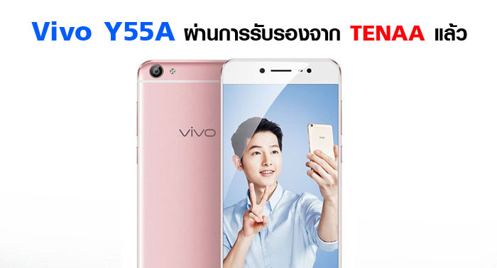 Vivo Y55A ผ่านการรับรองจาก TENAA แล้วมาพร้อมหน้าจอ 5.2 นิ้ว CPU Octa ...